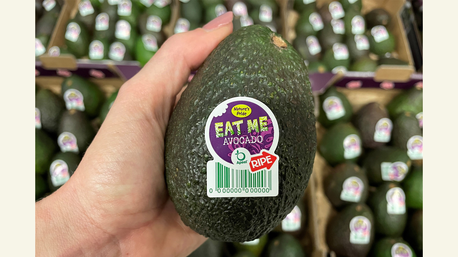 EAT ME avocado’s nu met langer houdbare Apeel bescherming - Postuma AGF