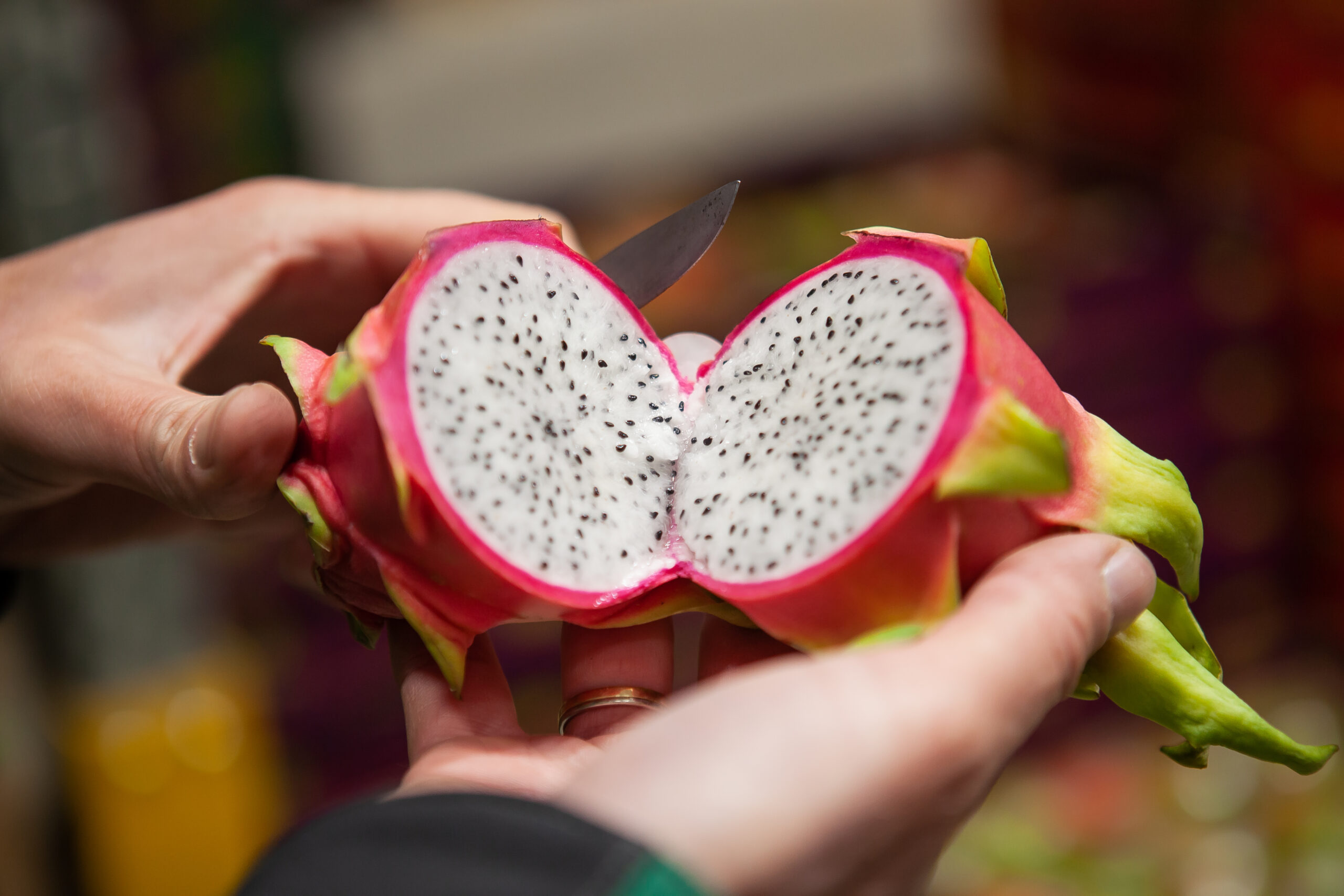 Leveranciers - Postuma AGF